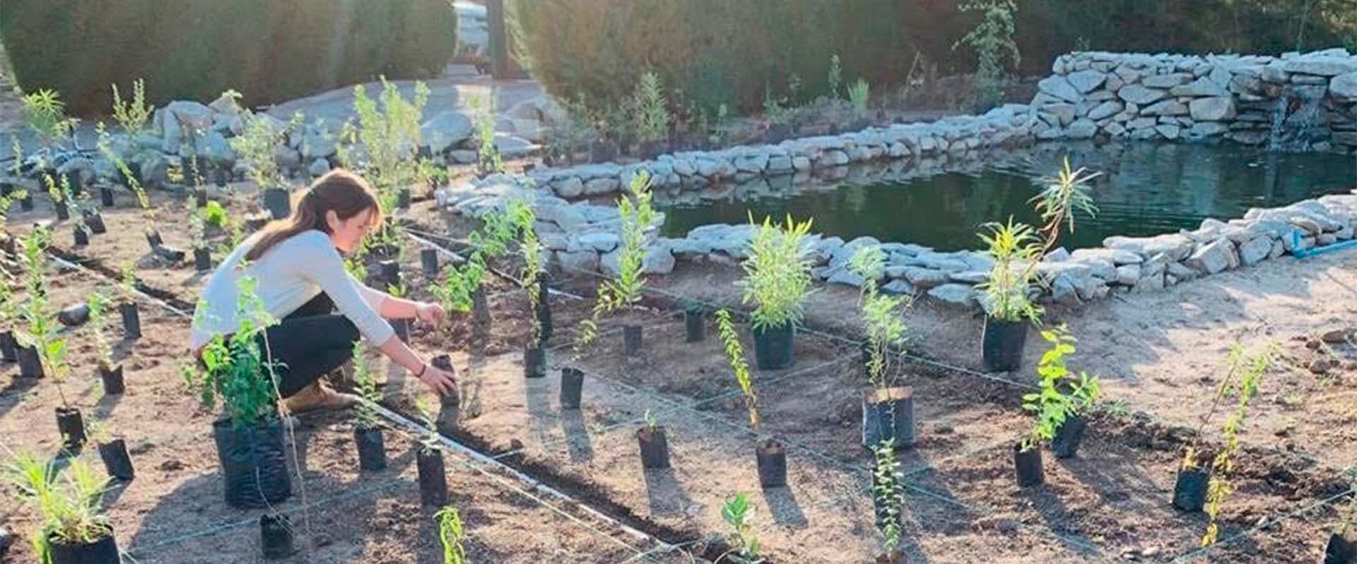 Fundación Basepública | Bosques de bolsillo: Chilenos ganan premio «Oscar» a la sustentabilidad